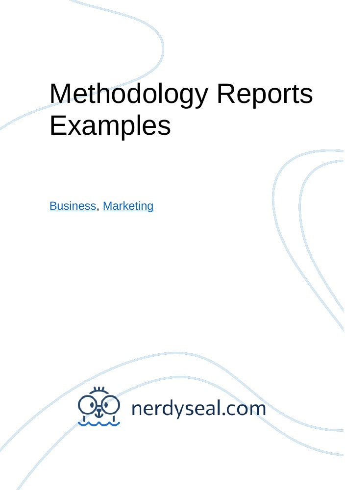 Methodology Reports Examples - 2230 Words - NerdySeal