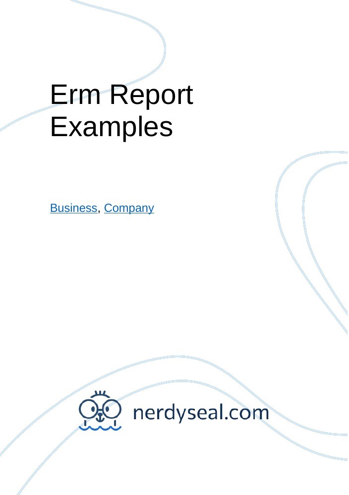 Erm Report Examples - 356 Words - NerdySeal