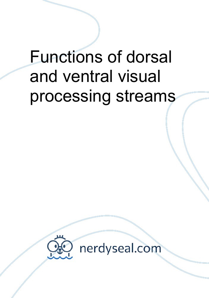 Functions Of Dorsal And Ventral Visual Processing Streams 3354 Words Nerdyseal