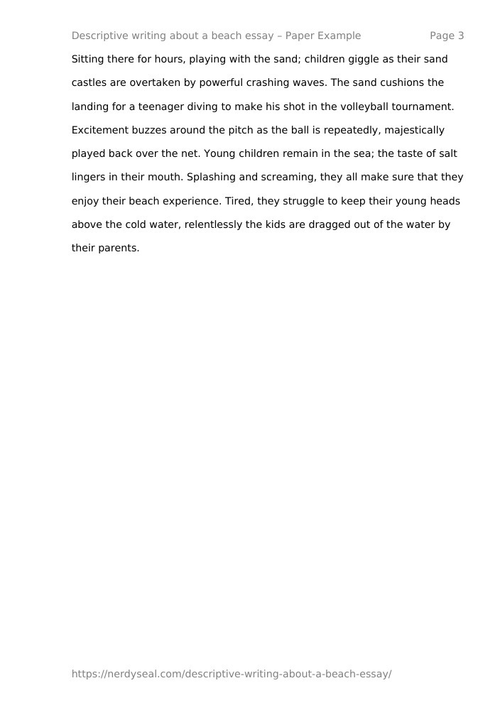 Descriptive writing about a beach essay - 387 Words - NerdySeal